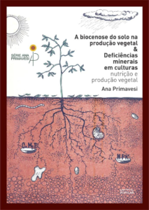 🌊 As principais realizações, ideias, técnicas e contribuições de Ana ...