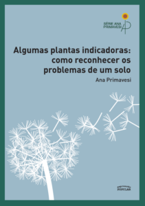 🌊 As principais realizações, ideias, técnicas e contribuições de Ana ...